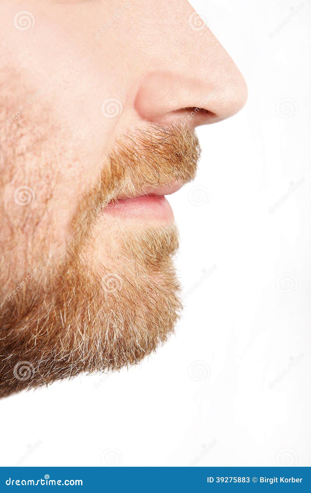 Male Face Profile with Beard Stock Image - Image of pastel, person ...