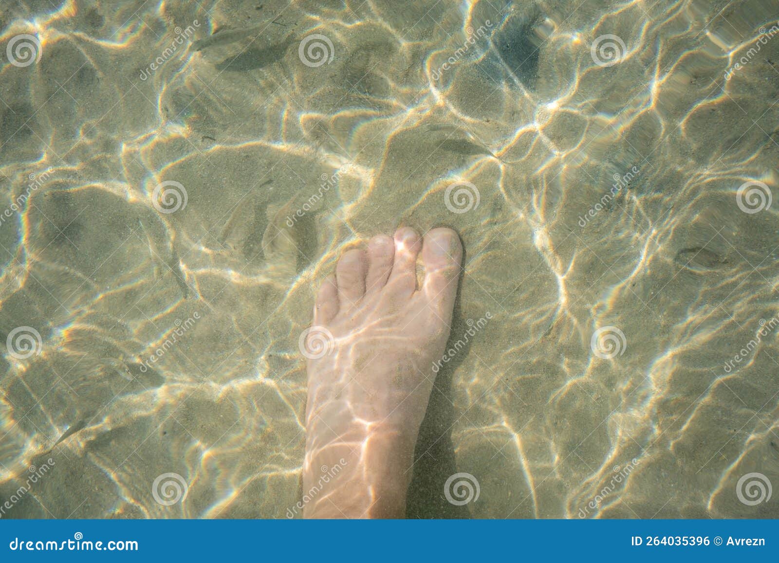 Feet Underwater Royalty-Free Stock Image | CartoonDealer.com #73391152