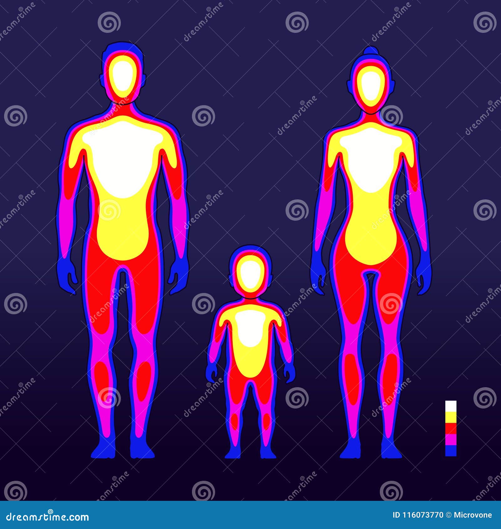 Male And Female Body Warmth In Infrared Spectrum Human Temperature Schematic Vector