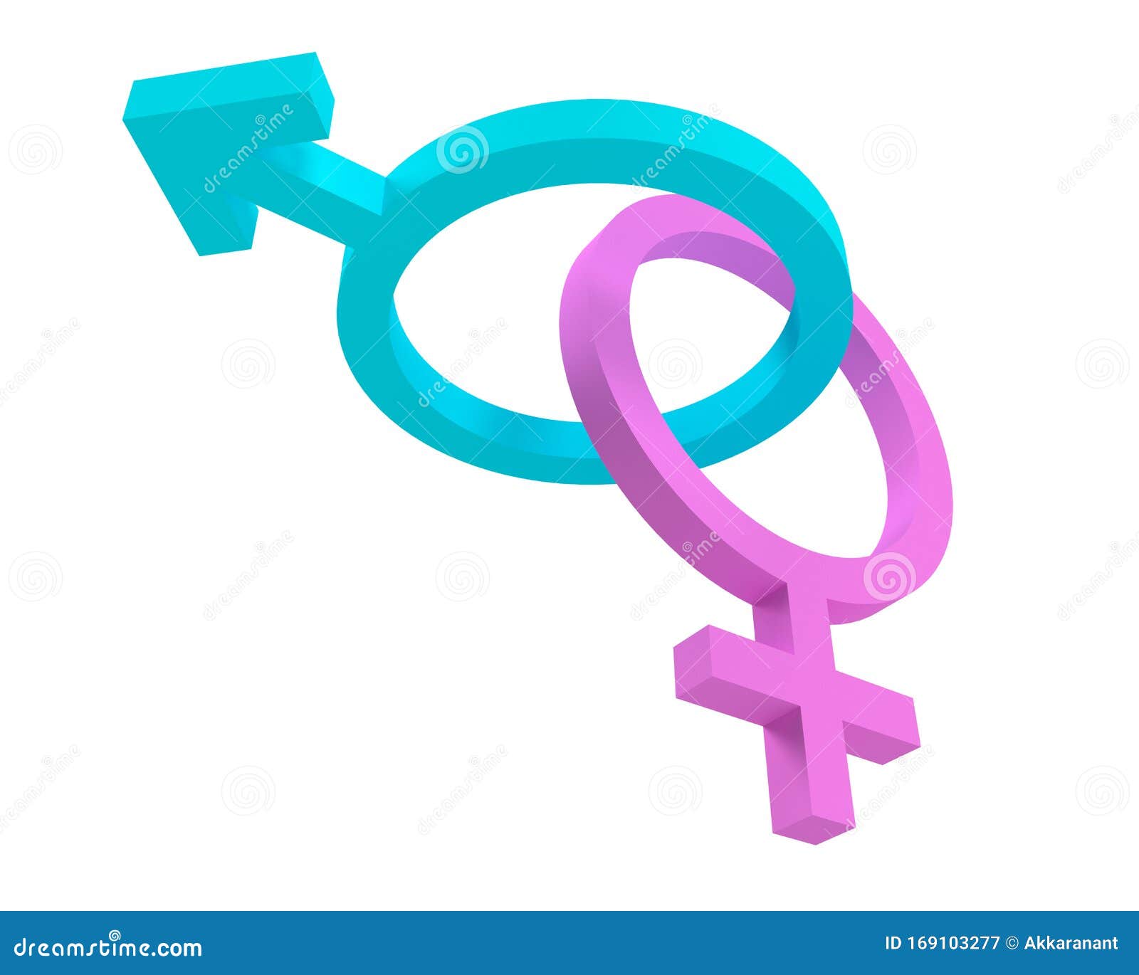 Male And Female Gender Signs 2 Stock Image Illustration Of Female Gender 169103277