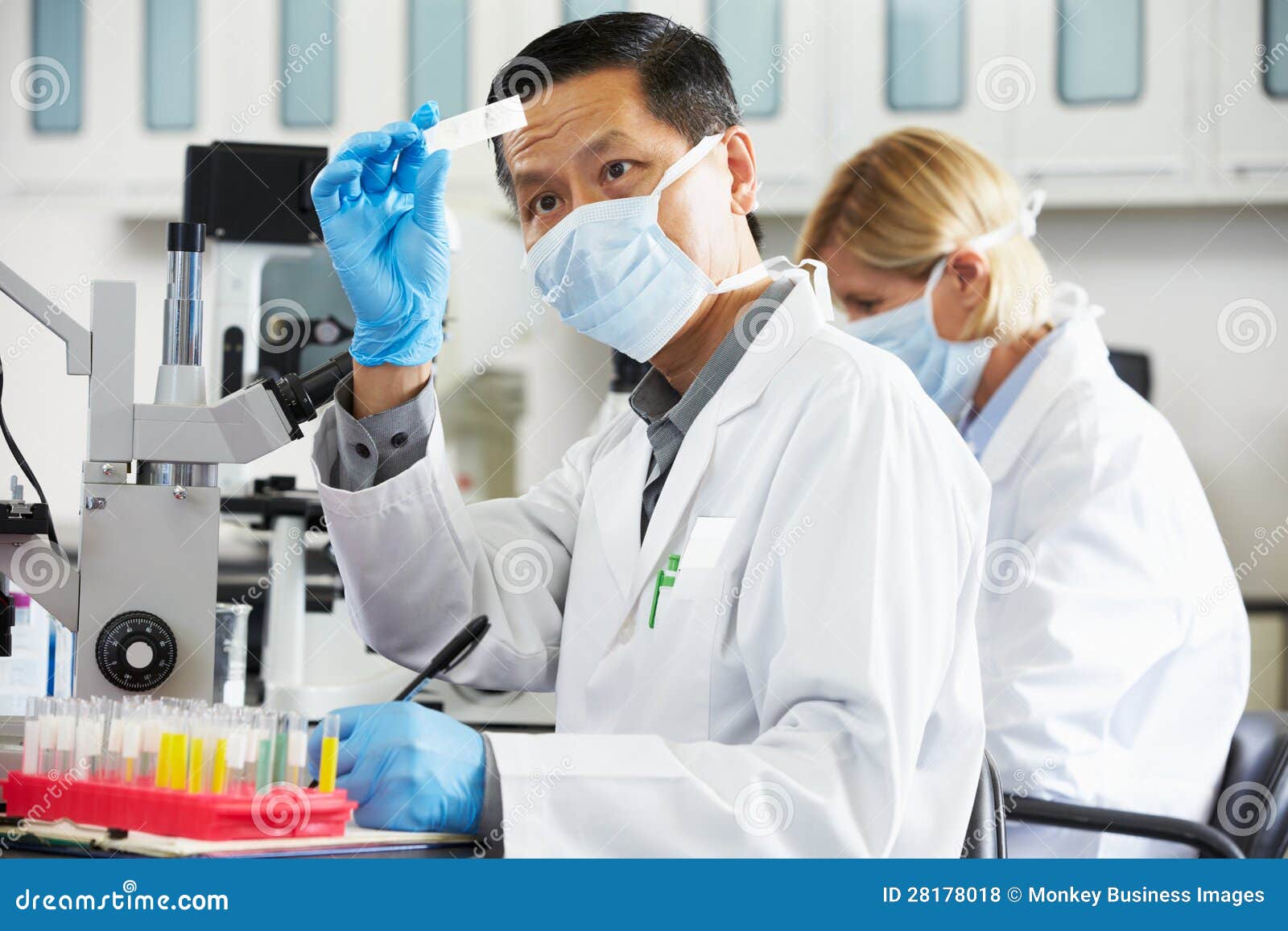 Male and Female Scientists Using Microscopes in Laboratory Stock Photo ...