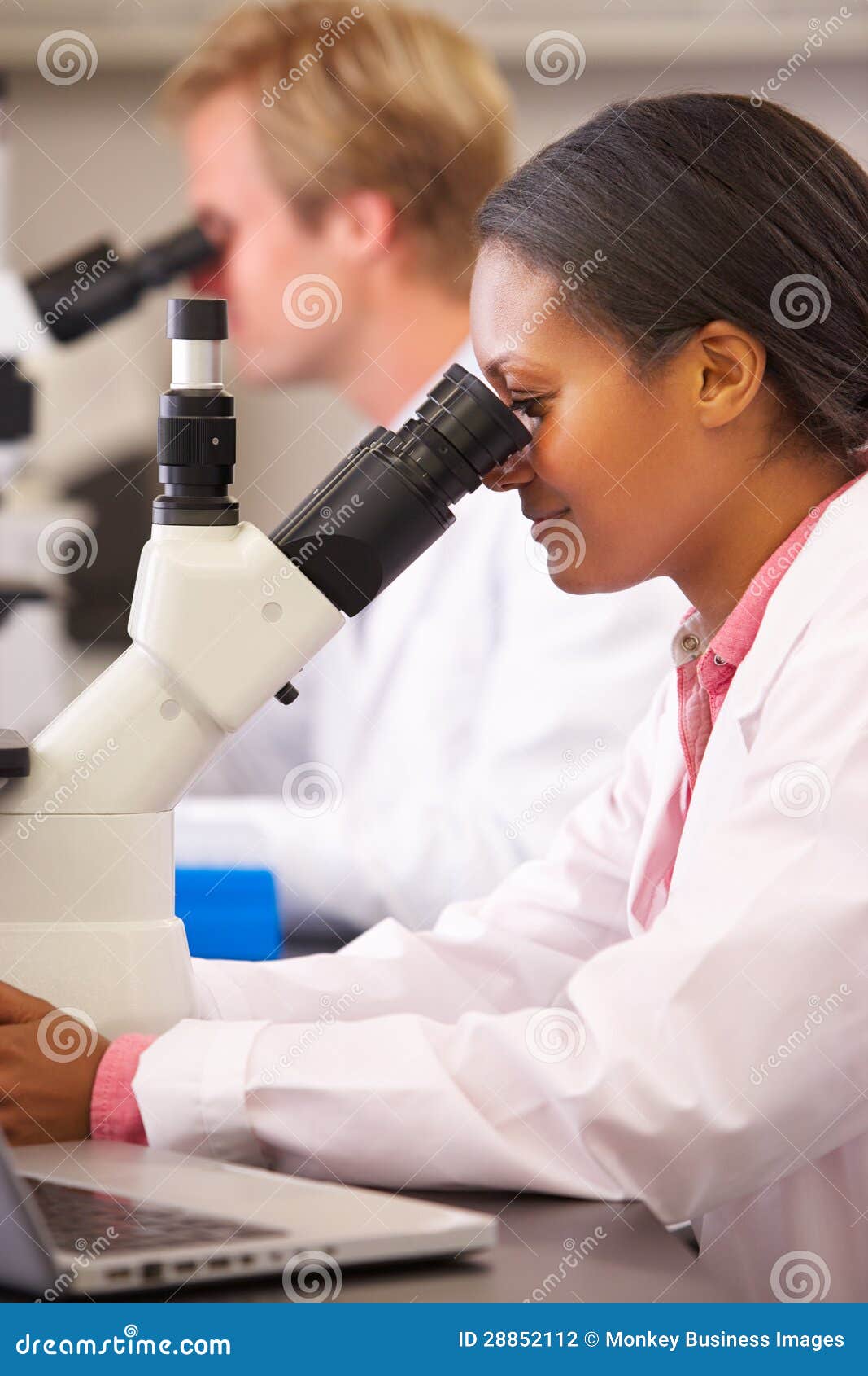 Male and Female Scientists Using Microscopes in Laboratory Stock Photo ...