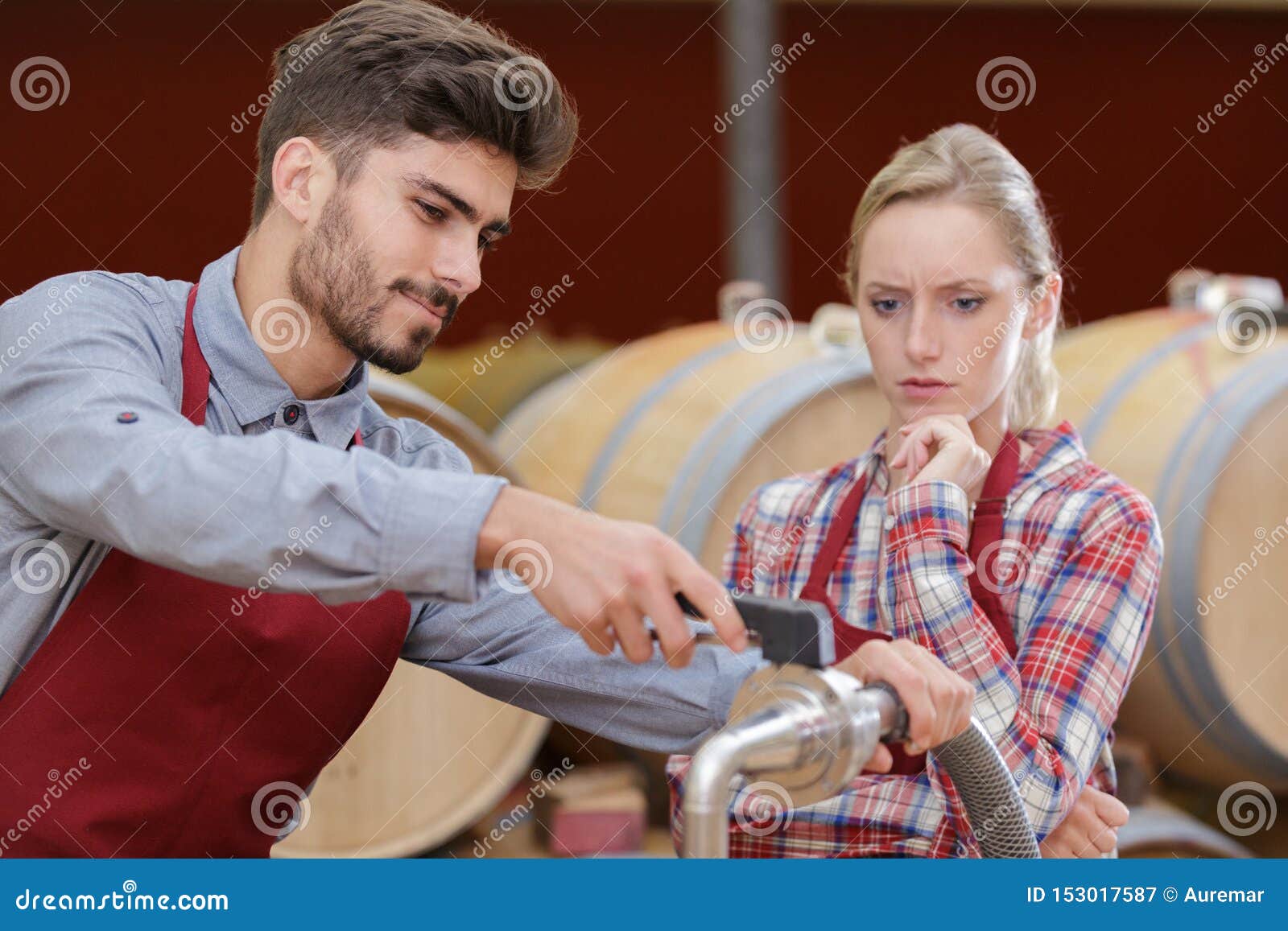 Male and Female Workers in Wine Cellar Stock Image - Image of adult ...