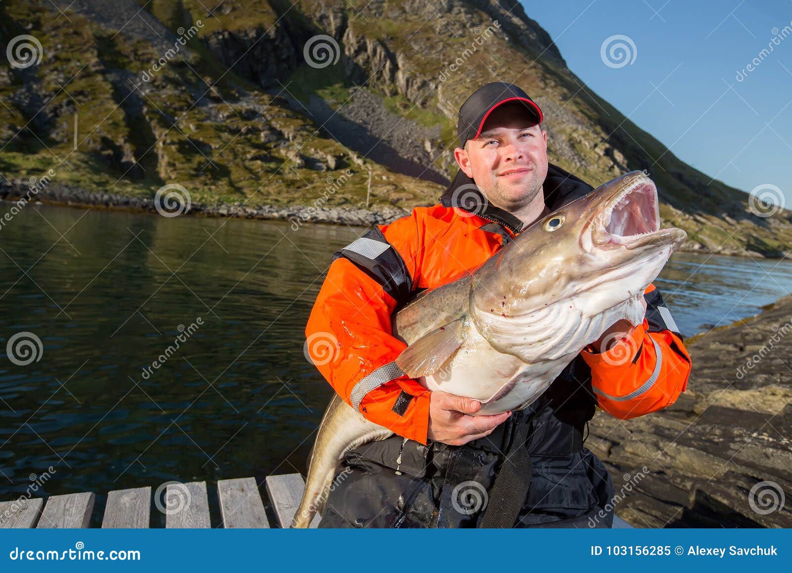 Male Fisherman Holding a Huge Fish Cod Stock Image - Image of lake ...