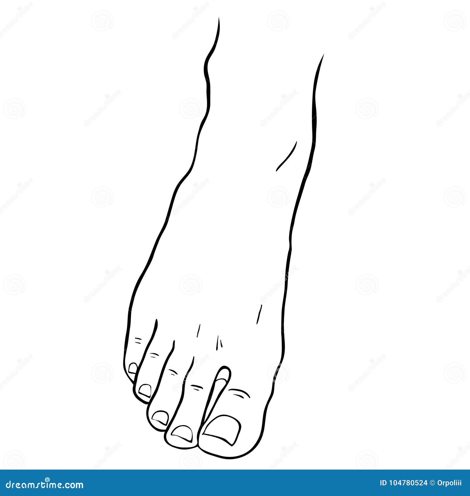 A Male Foot from Above. Vector Illustration Stock Vector - Illustration ...