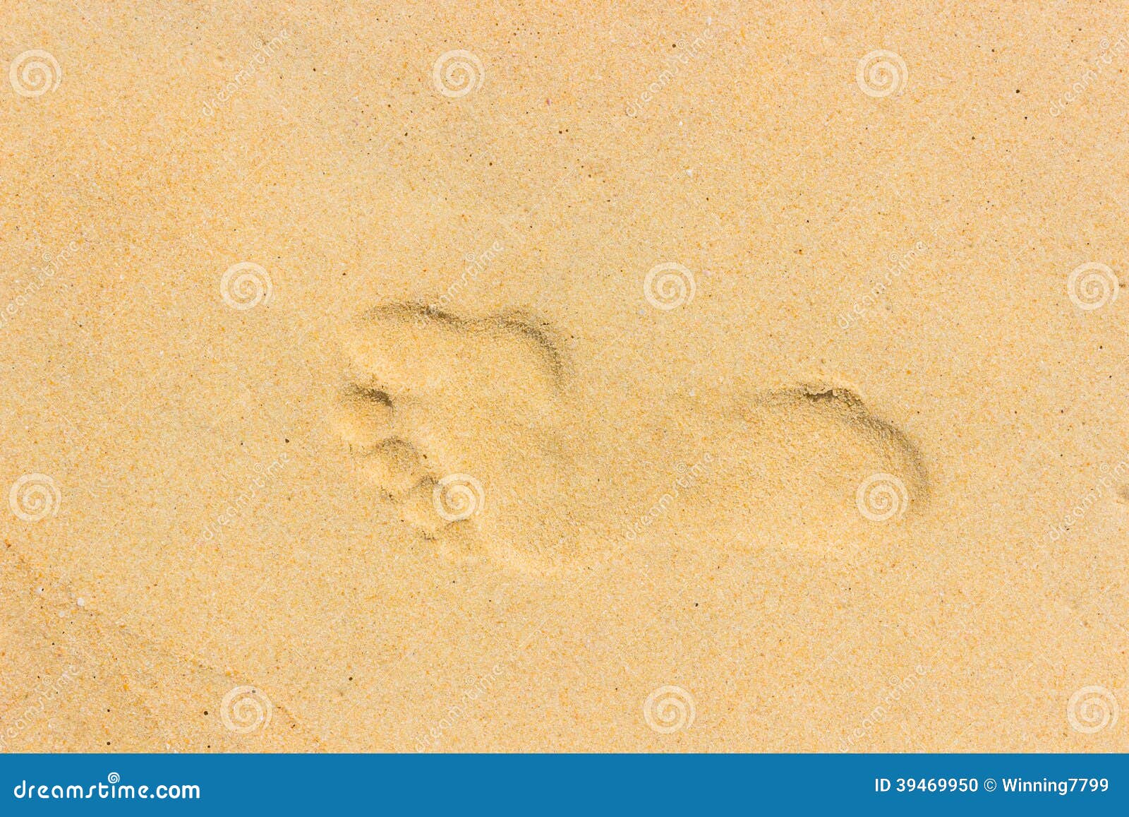 Male Footprint In The Sand, Footprint, Many Different Footprints In The ...