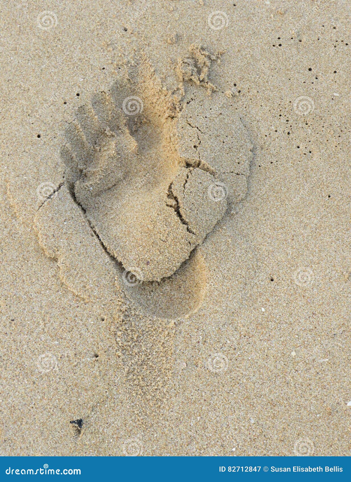 Male Footprint In The Sand, Footprint, Many Different Footprints In The ...