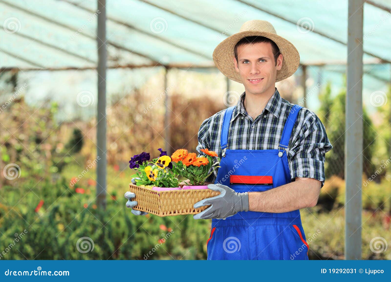 Male Gardener Holding Flower Pots Stock Image - Image of botany ...