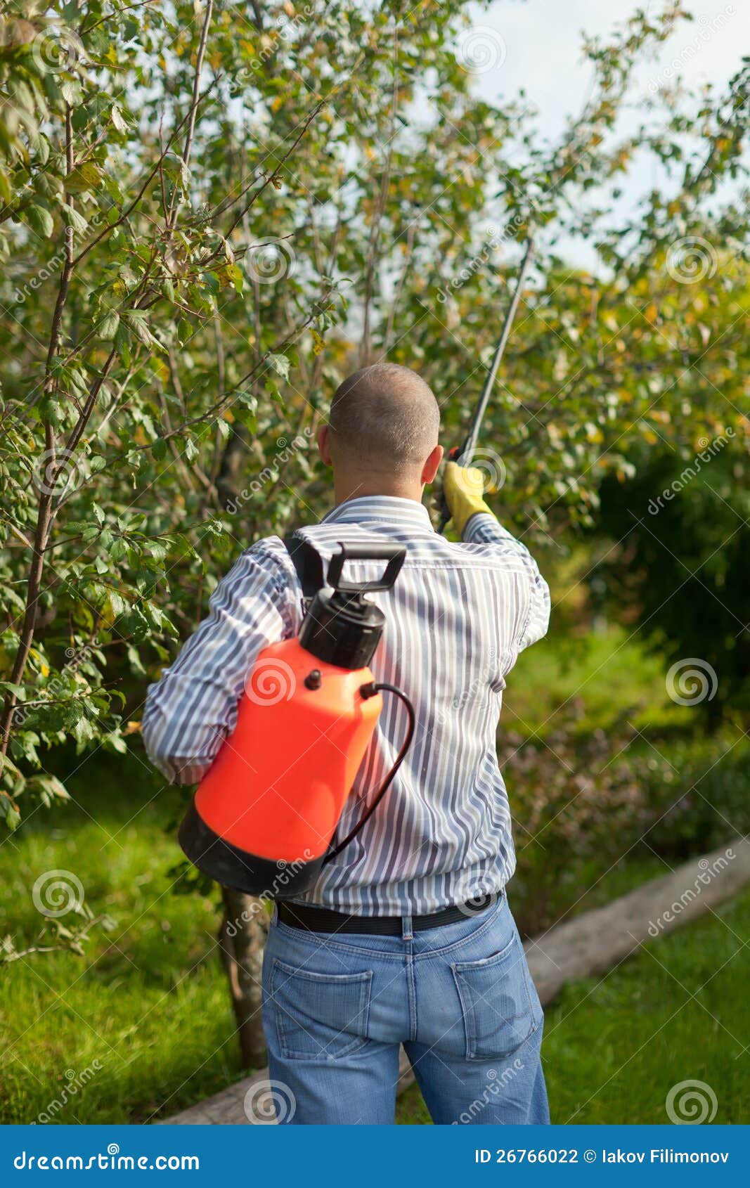 Spraying Trees In Fruit Orchard Royalty-Free Stock Photography ...