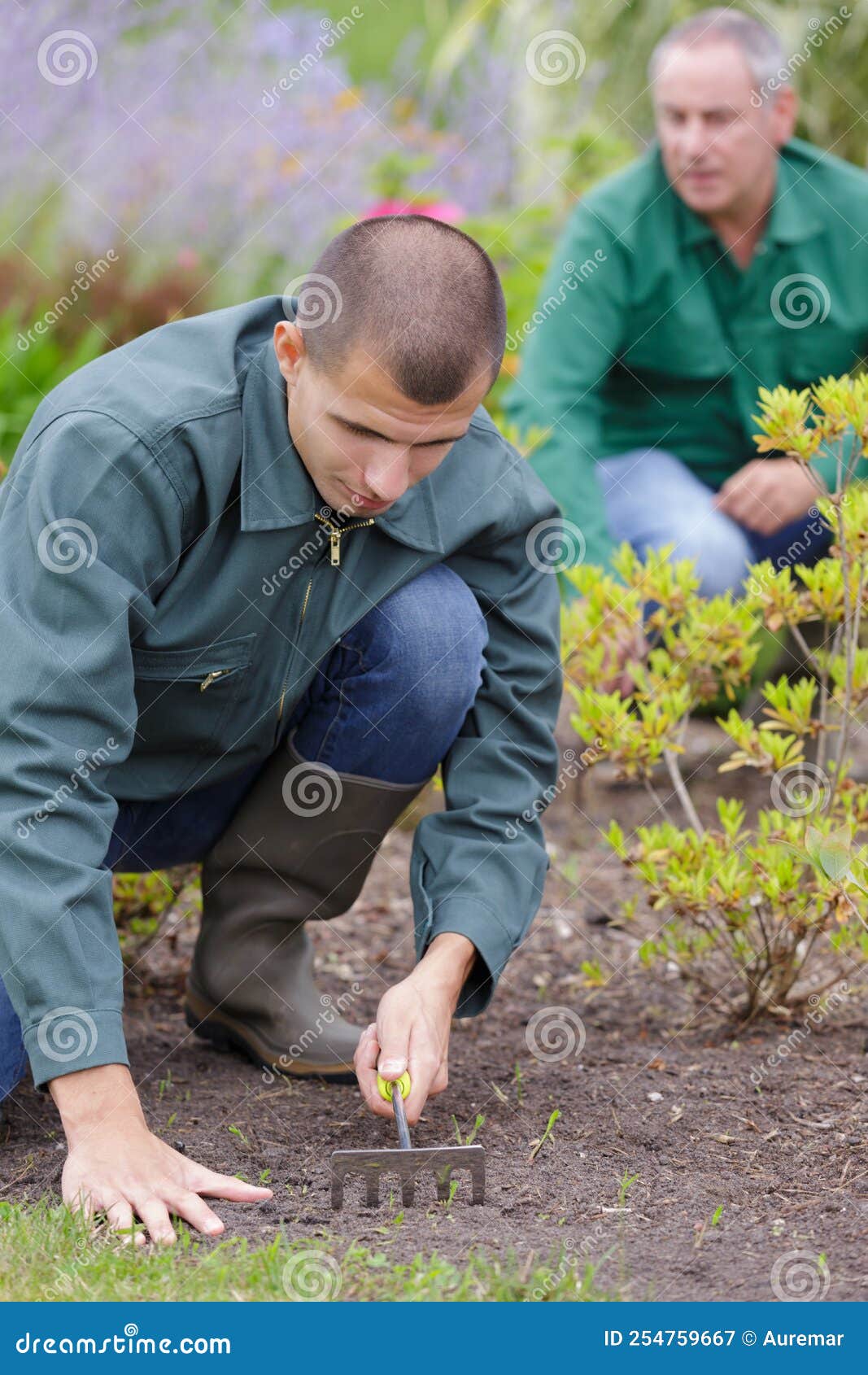 Male Gardeners Using Rake in Garden Stock Image - Image of vertical ...