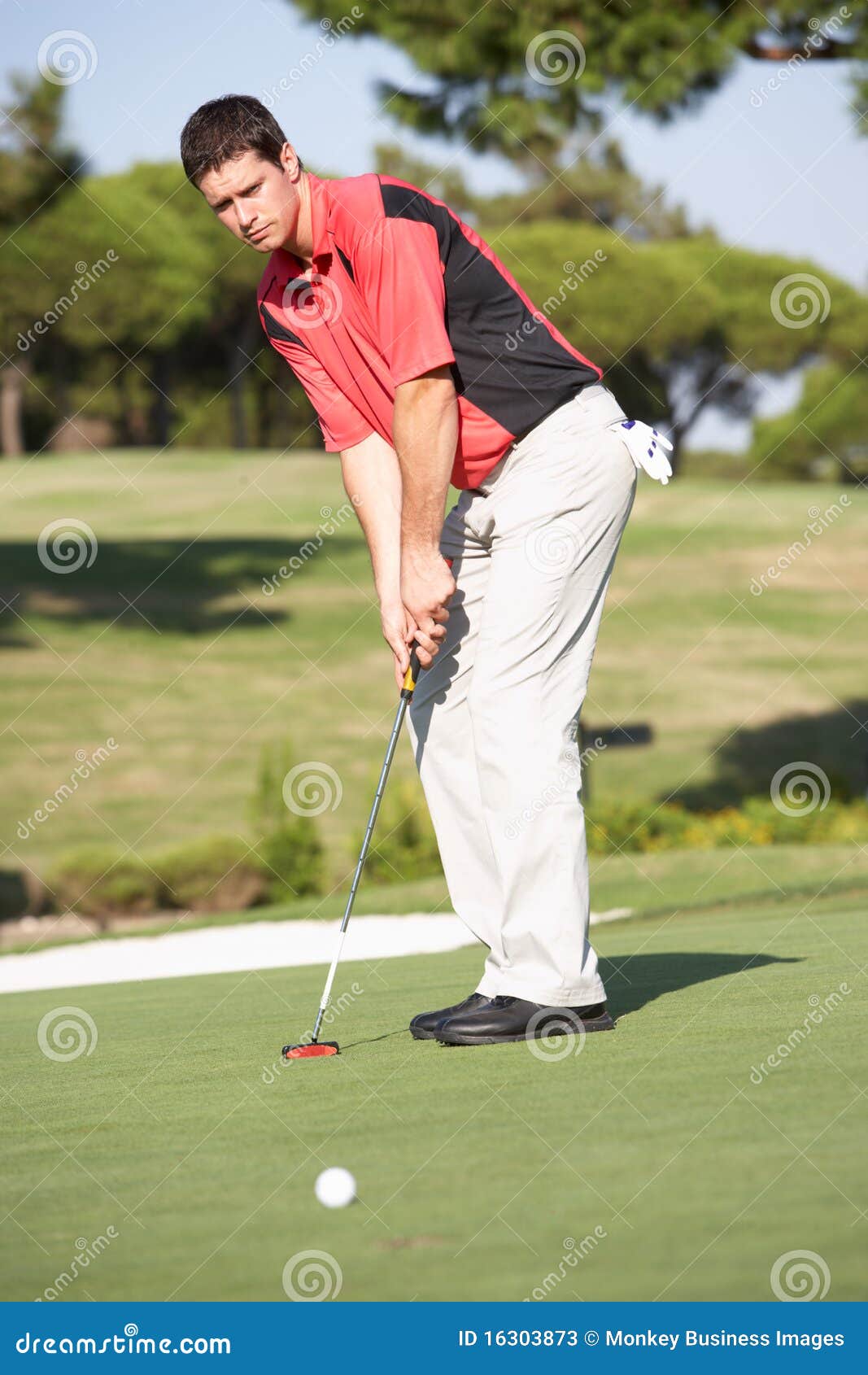Male Golfer on Golf Course stock image. Image of caucasian - 16303873