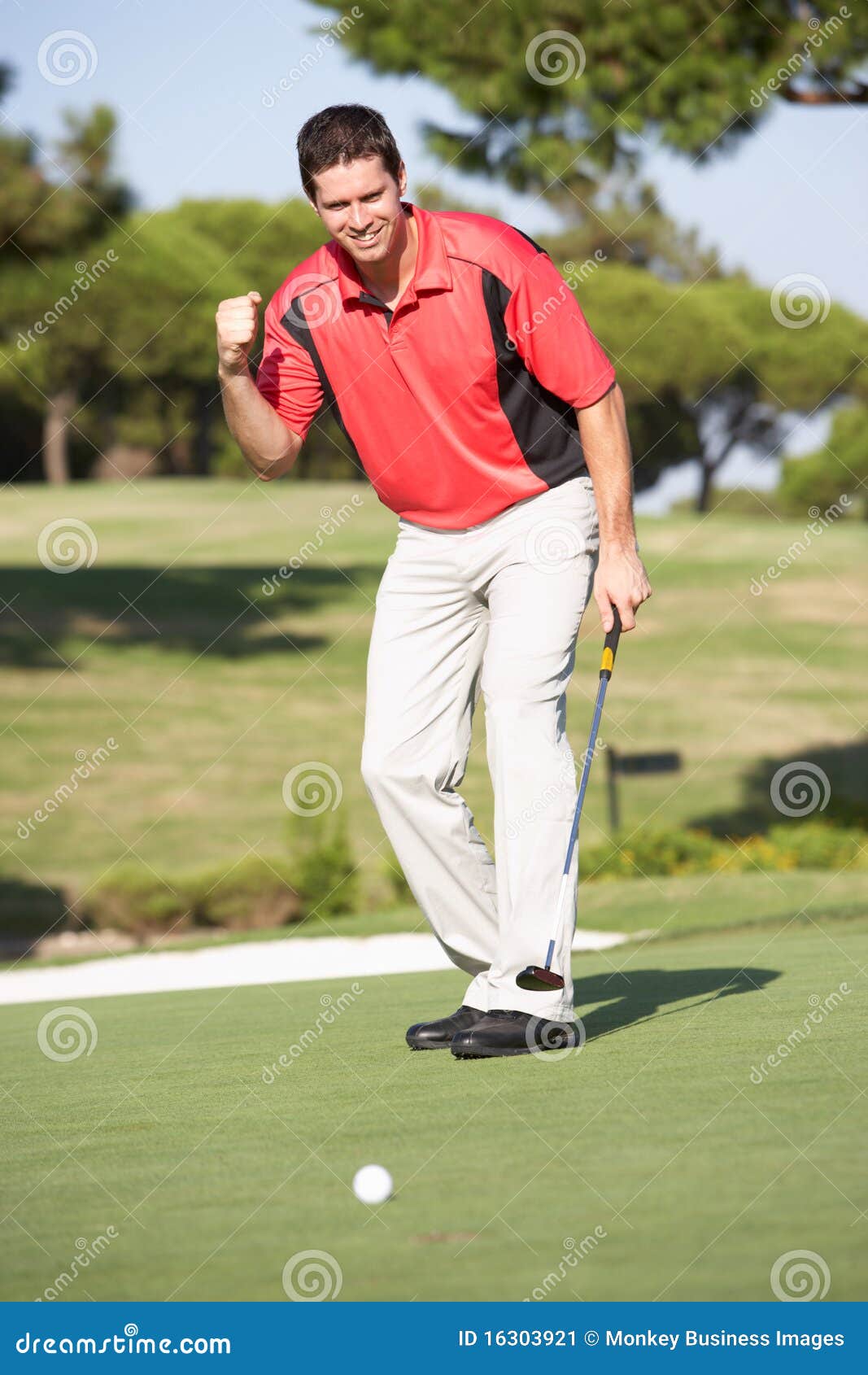 Male Golfer on Golf Course stock image. Image of winning - 16303921