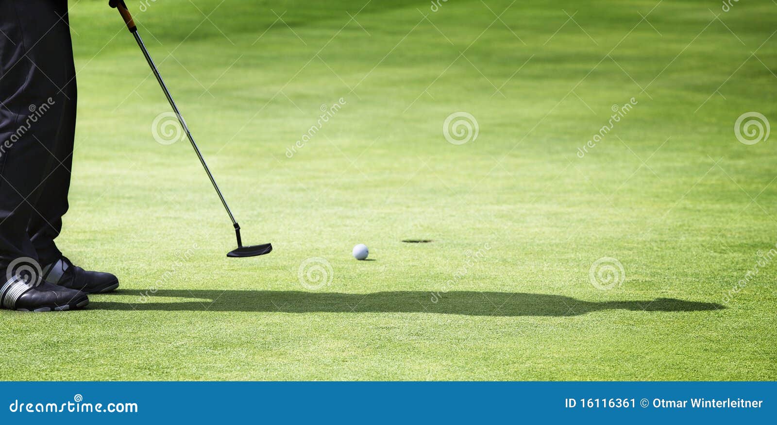 Male golfer putting. stock image. Image of person, player - 16116361