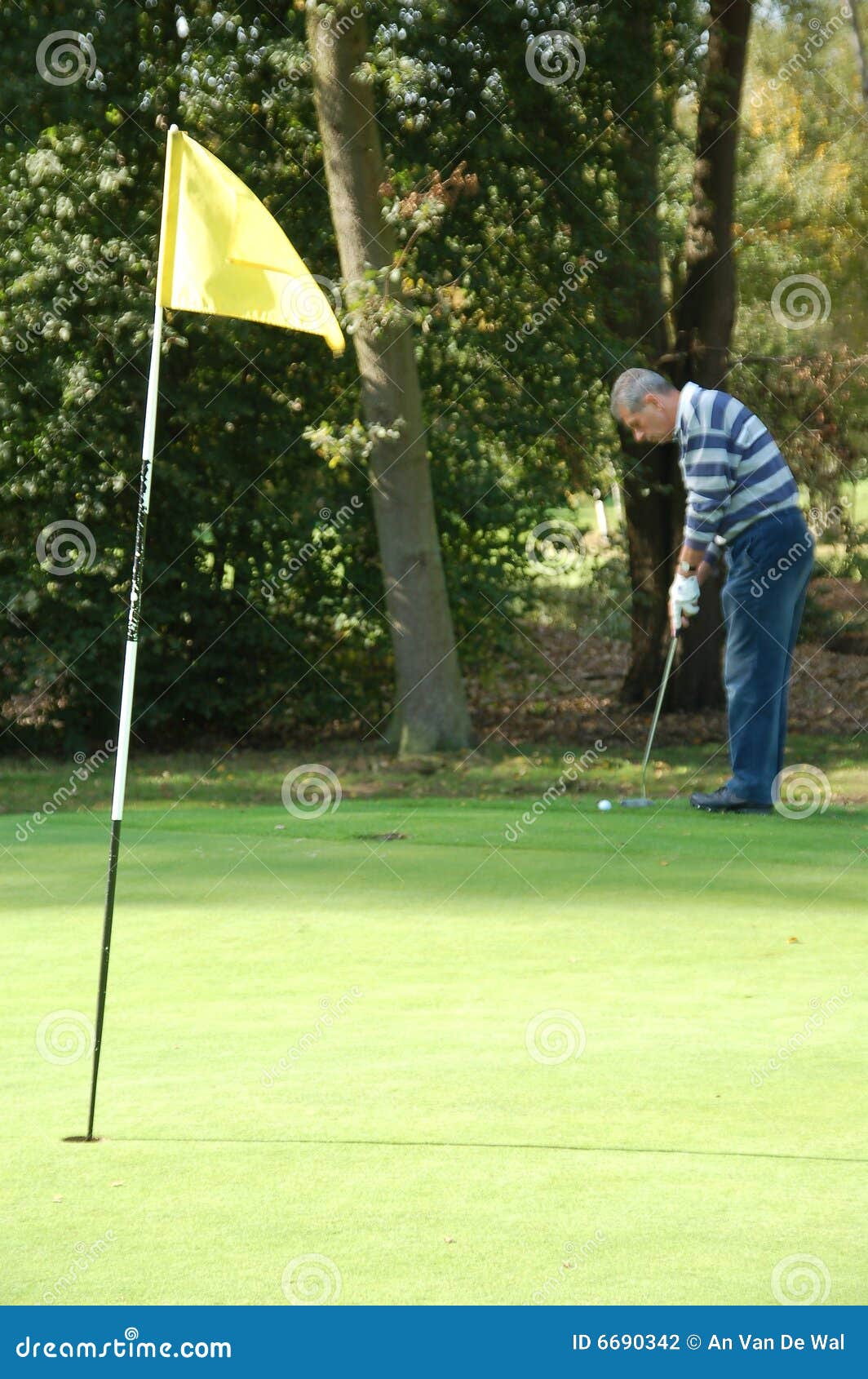 Male golfer putting stock photo. Image of putter, green - 6690342