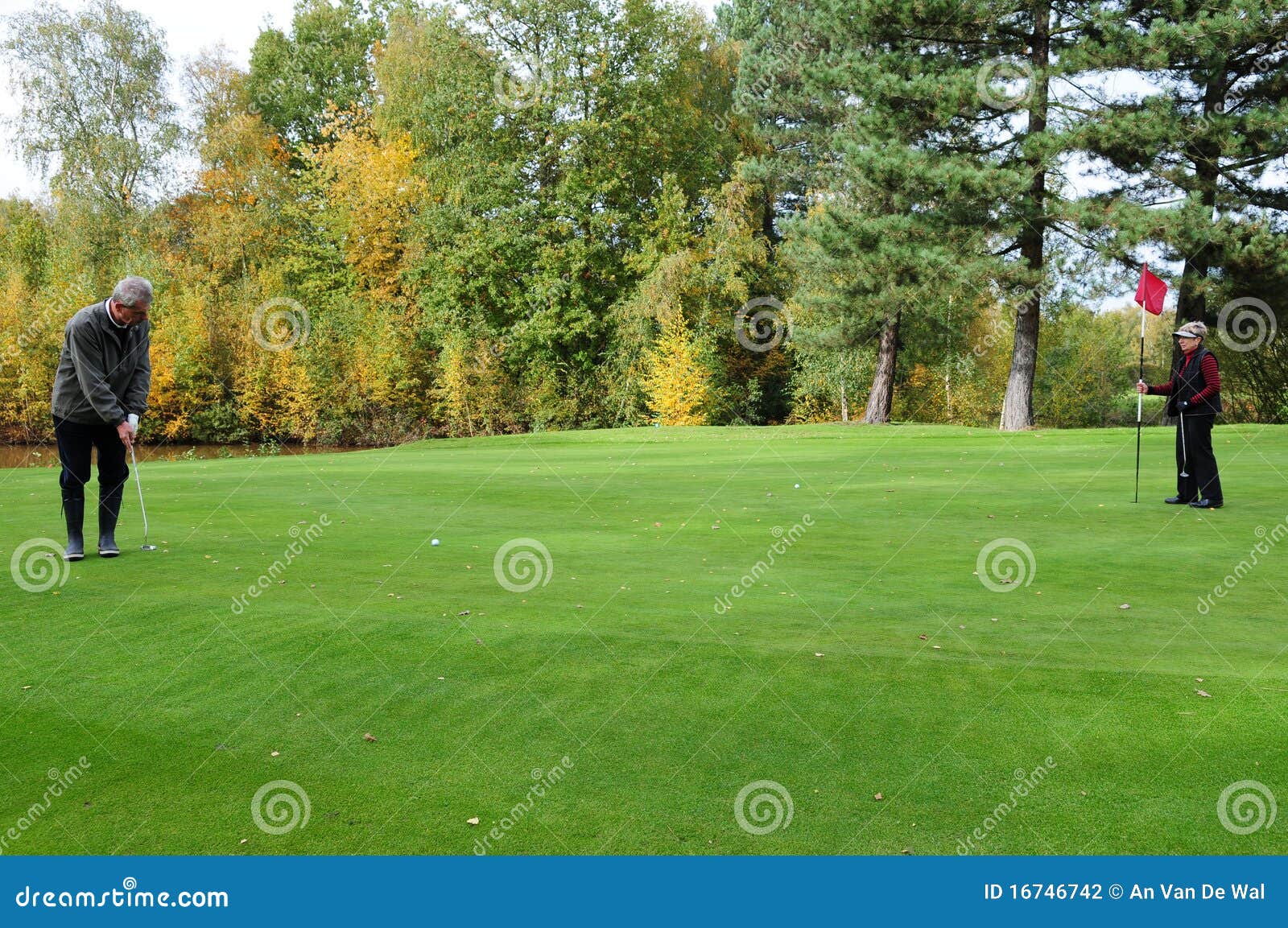 Male Golfer Putting on the Green Stock Photo - Image of exercise, play ...