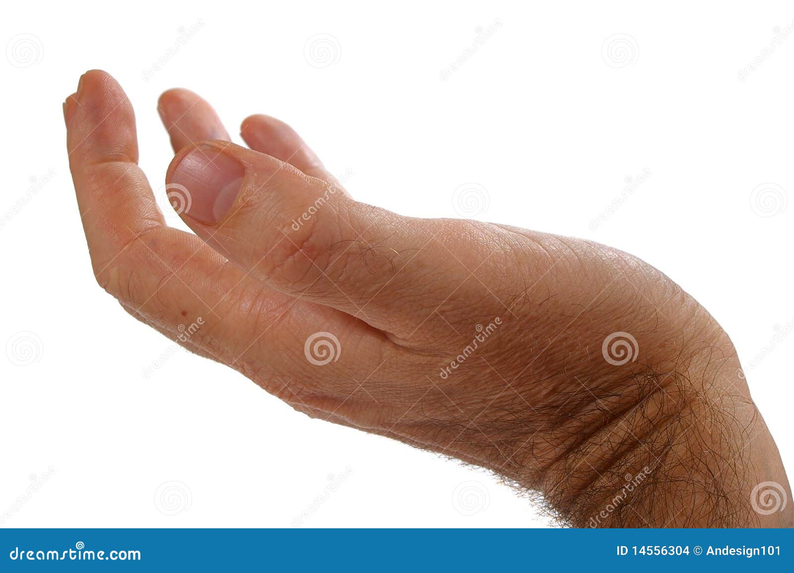 Male hand stock photo. Image of background, people, clean - 14556304