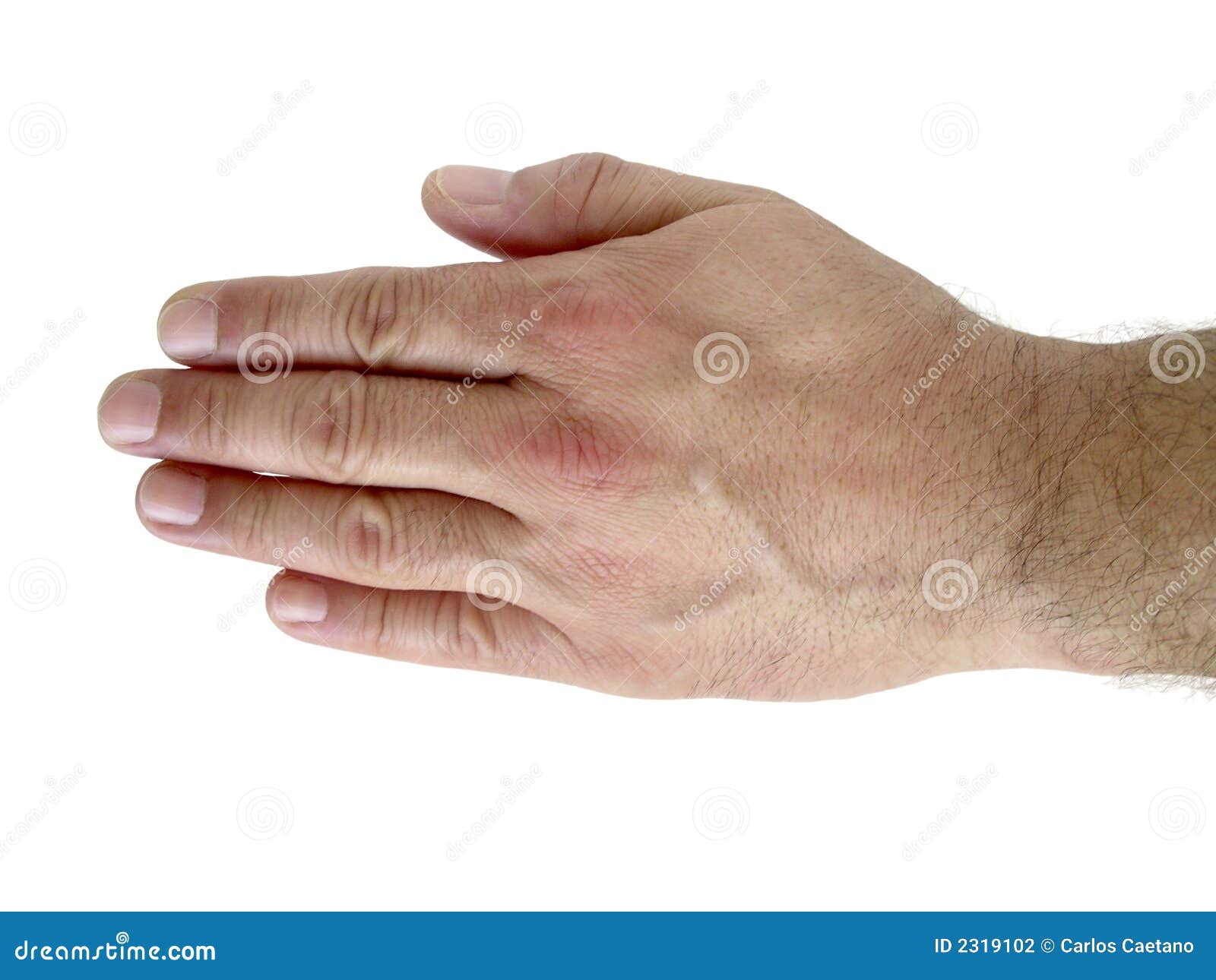Male Hand Stock Photography - Image: 2319102