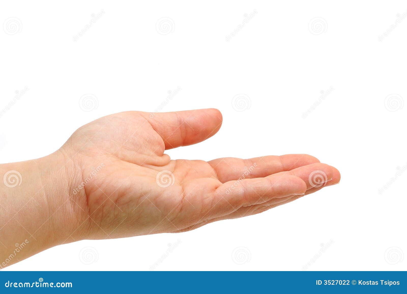 Male hand stock photo. Image of advertisement, company - 3527022