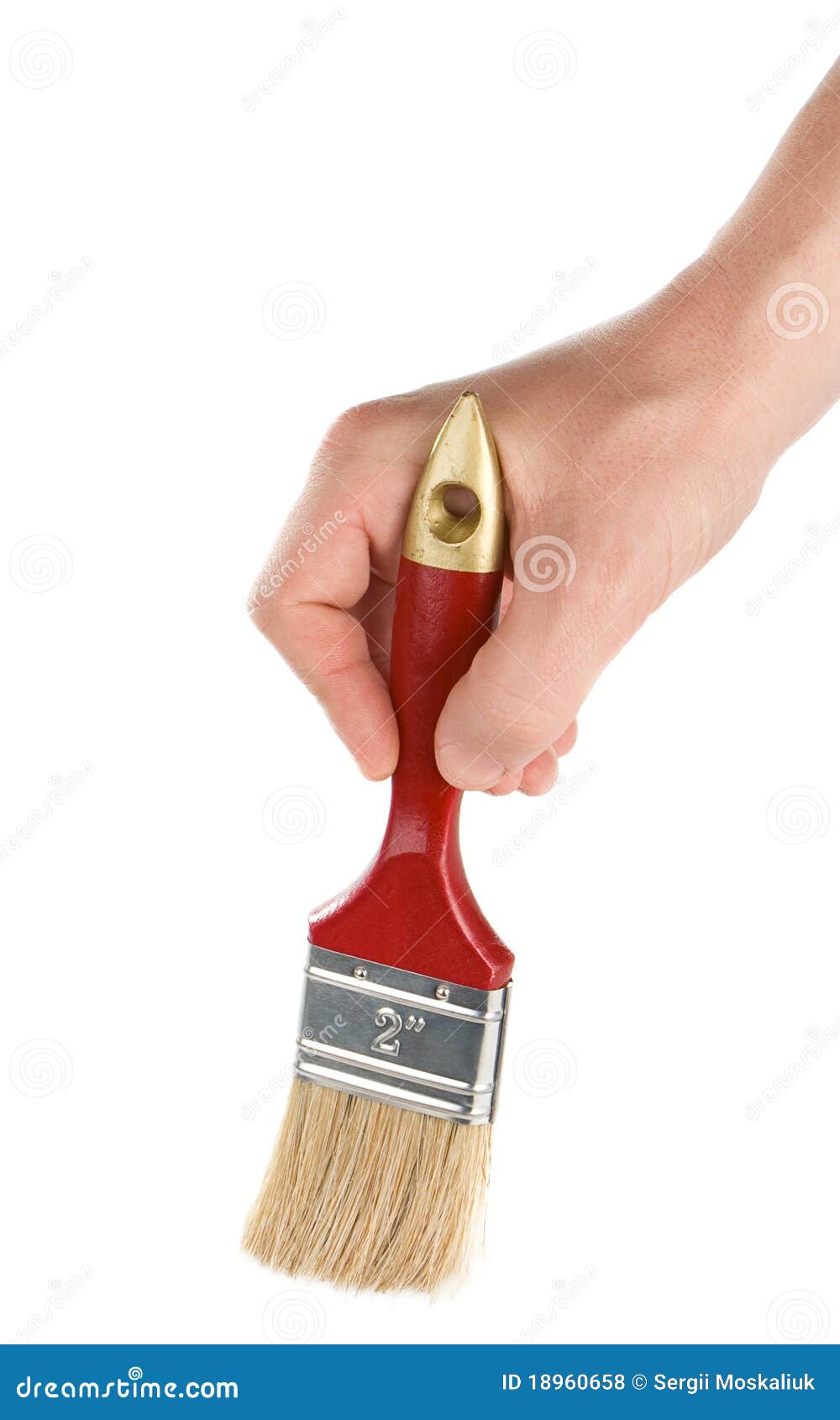 107 Left Hand Holding Brush Stock Photos - Free & Royalty-Free Stock ...