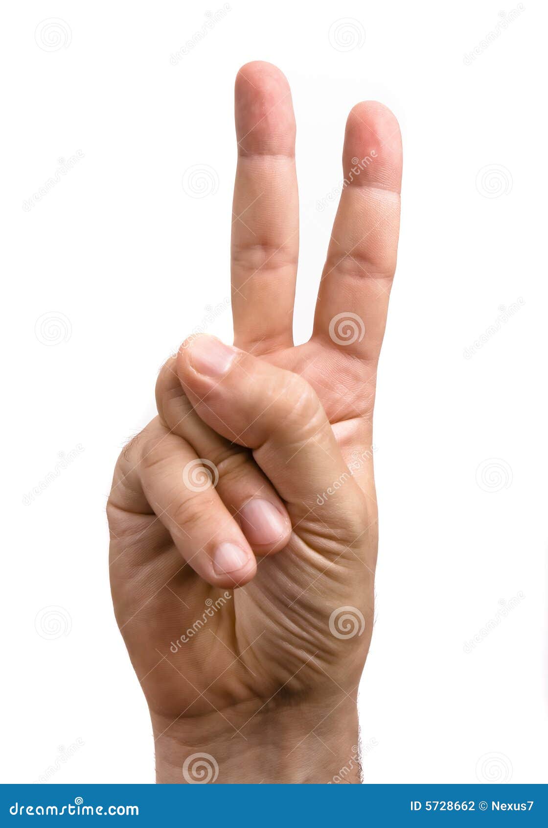 Male Hand Gesture stock photo. Image of hand, gesture - 5728662