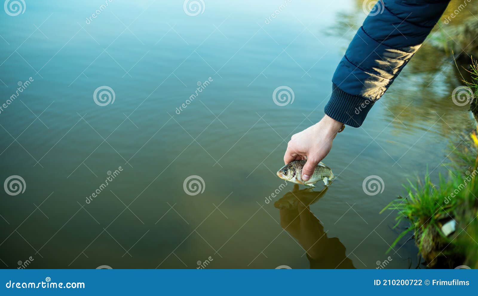 Male hand holding a fish stock photo. Image of male - 210200722