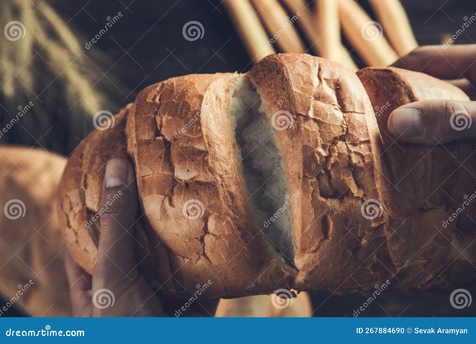 Fresh bread in male hands stock photo. Image of hands - 267884690