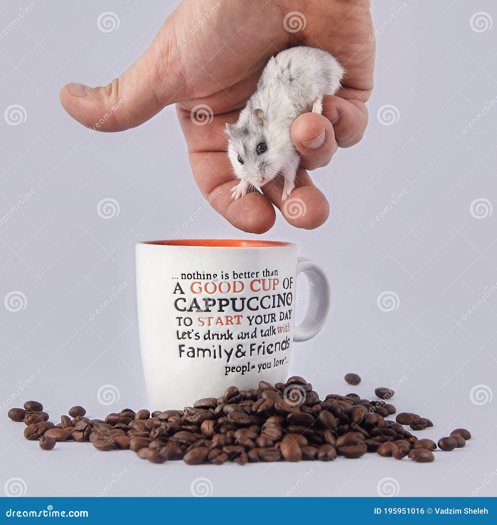 Male Hand Holding a Hamster Over a Cup of Coffee Stock Photo - Image of ...