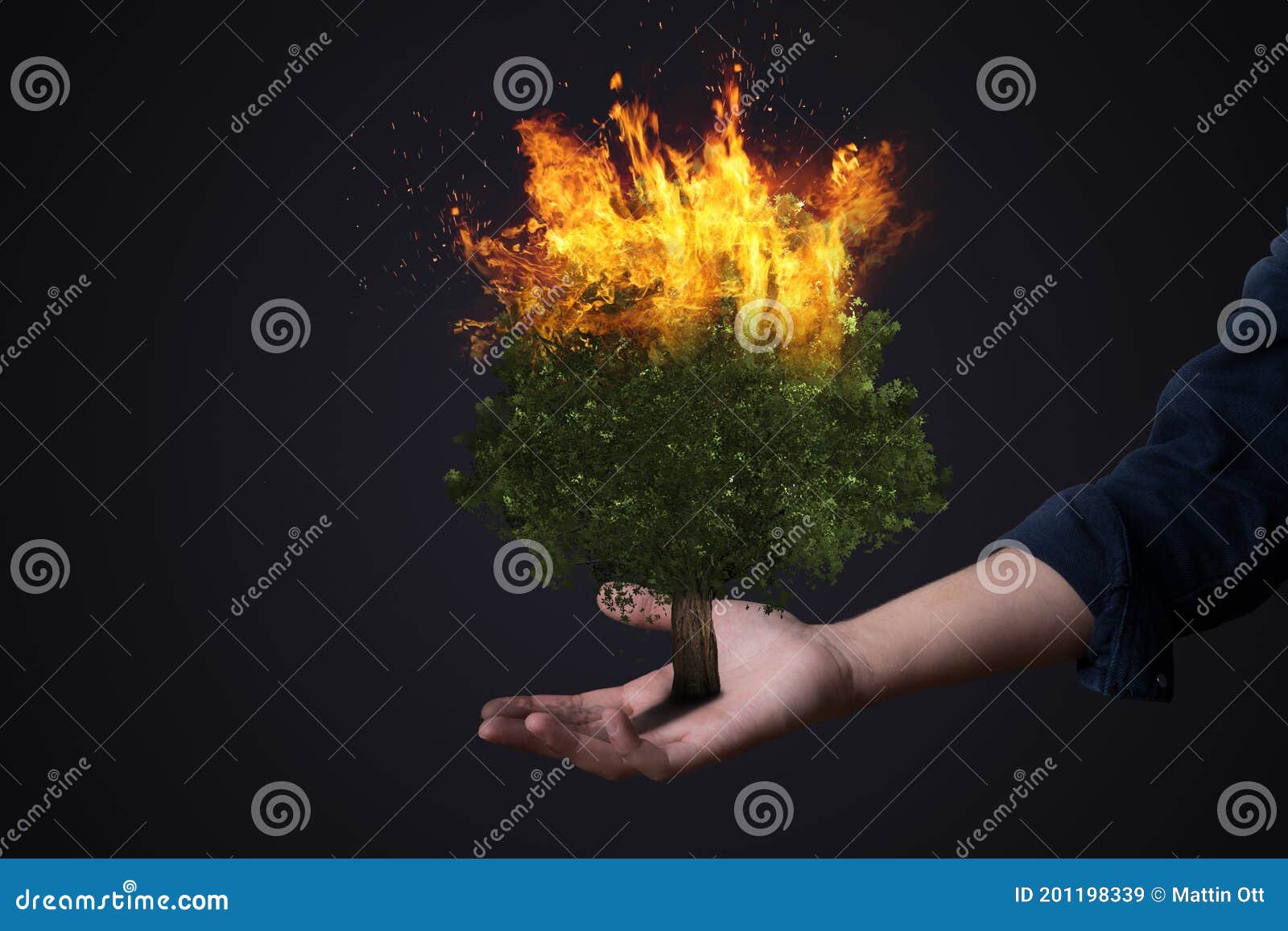 Male Hand Holding Tree on Fire Stock Image - Image of firewood, holding ...