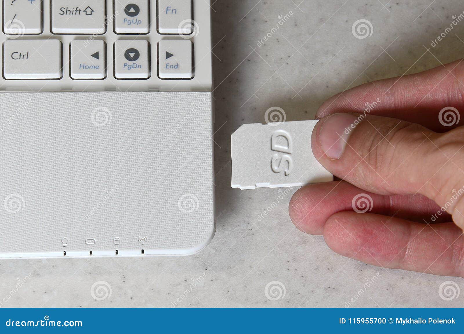A Male Hand Inserts a White Compact SD Card into the Corresponding ...