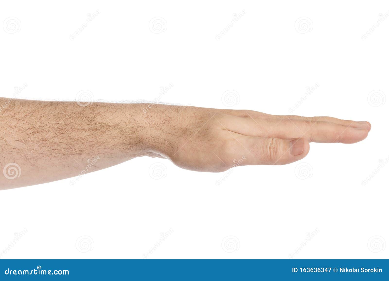 Male hand stock image. Image of bringing, background - 163636347