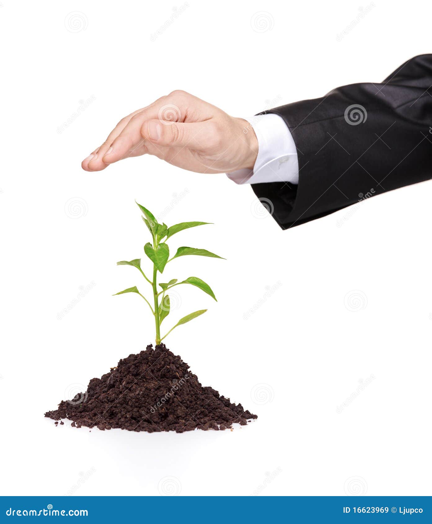 A Male Hand Over a Plant Protecting it Stock Image - Image of ...