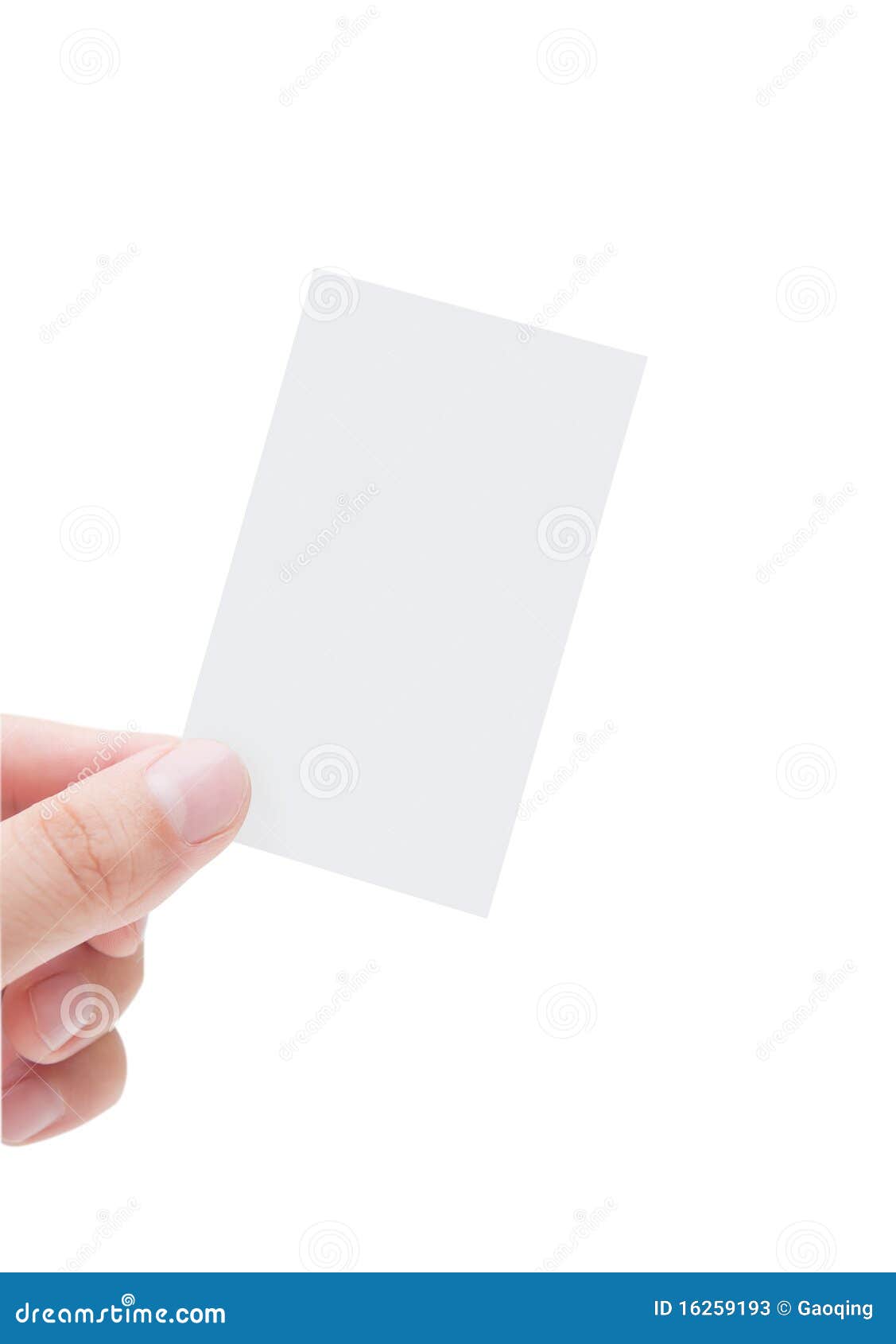 A Male Hand Showing a Blank Card Stock Image - Image of paper ...