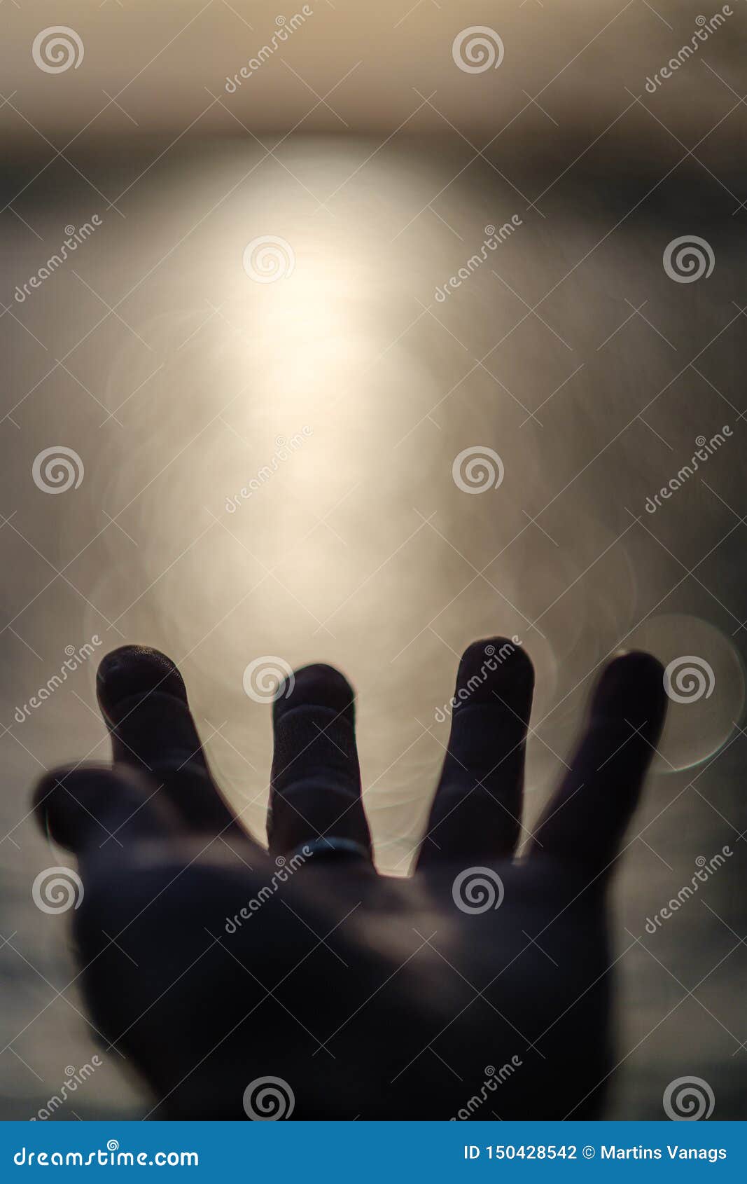 Male Hand Showing Direction in Forest Stock Photo - Image of forest ...