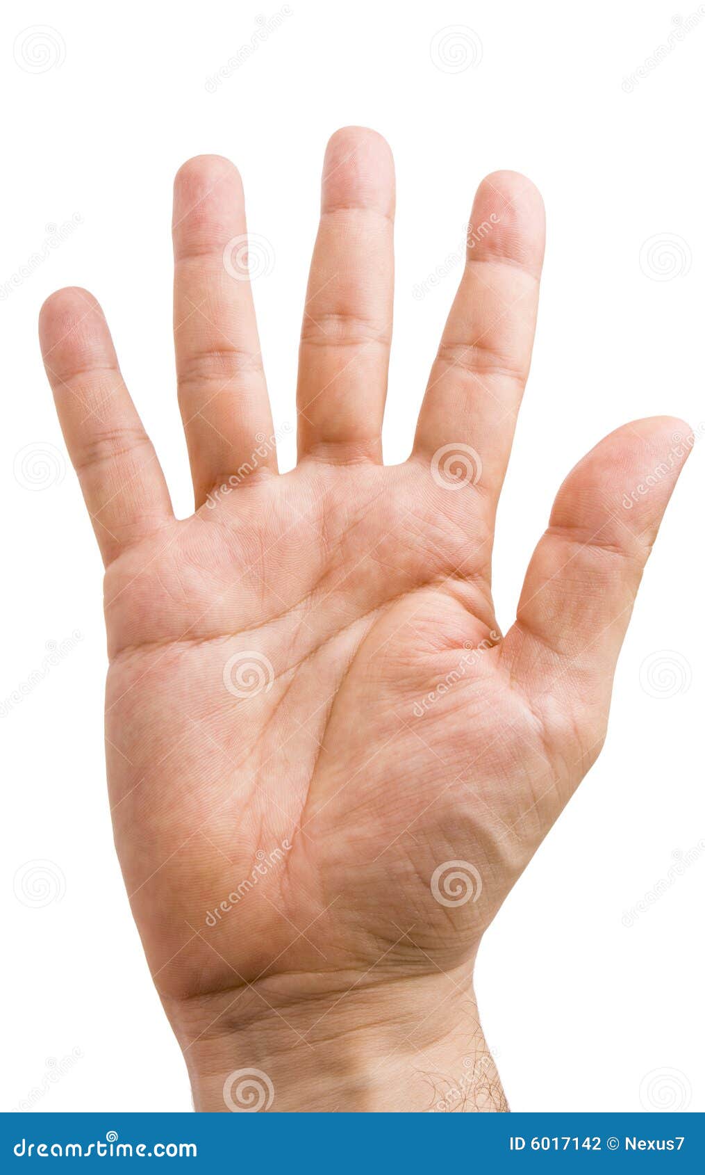 Male Hand Showing Five stock photo. Image of background - 6017142