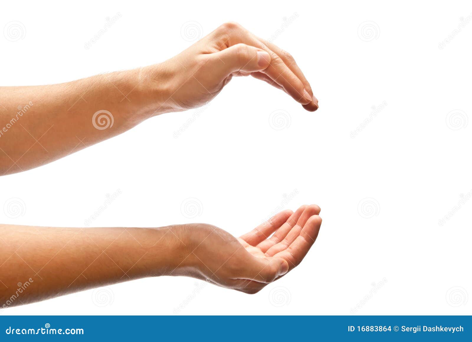 Male hands stock photo. Image of close, isolated, opening - 16883864