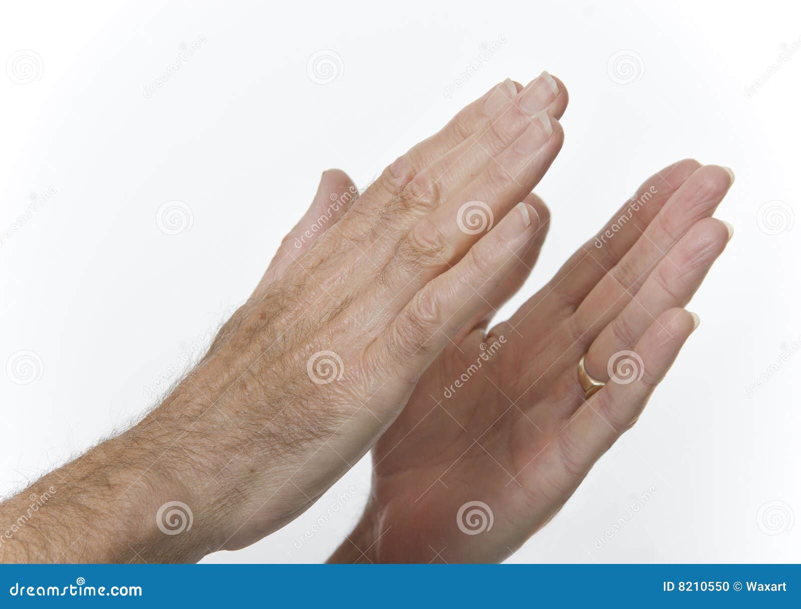 Male hands clapping stock photo. Image of white, spectator - 8210550