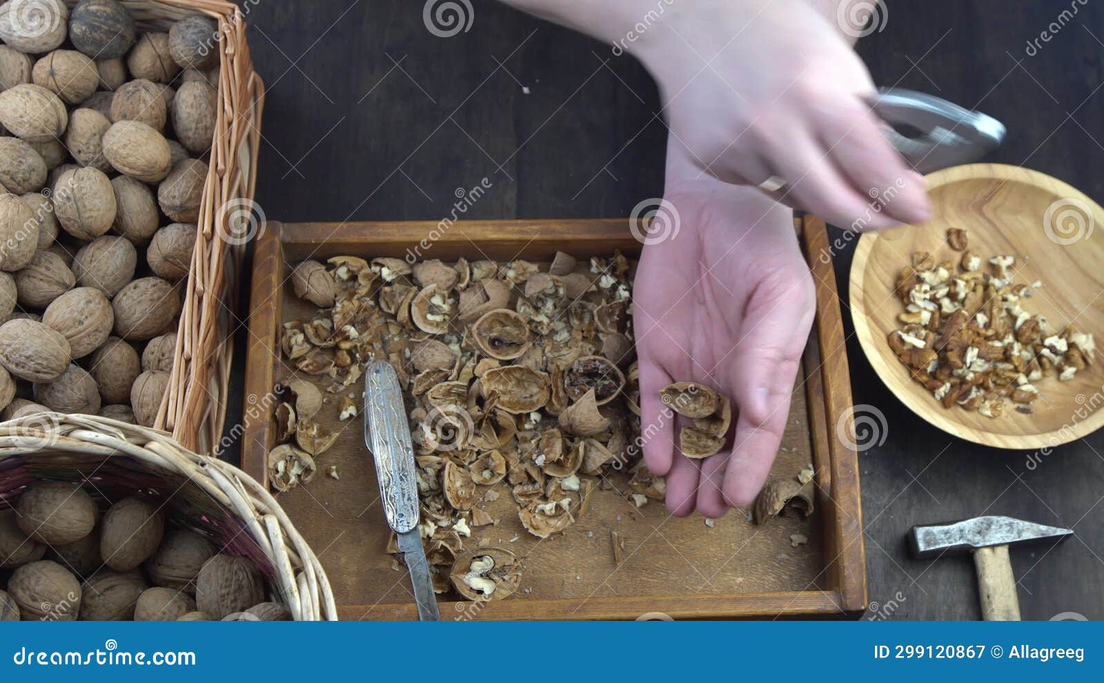 Male Hands Clean Nuts with a Nut Cracker. Close-up. Walnut in Shell Top ...