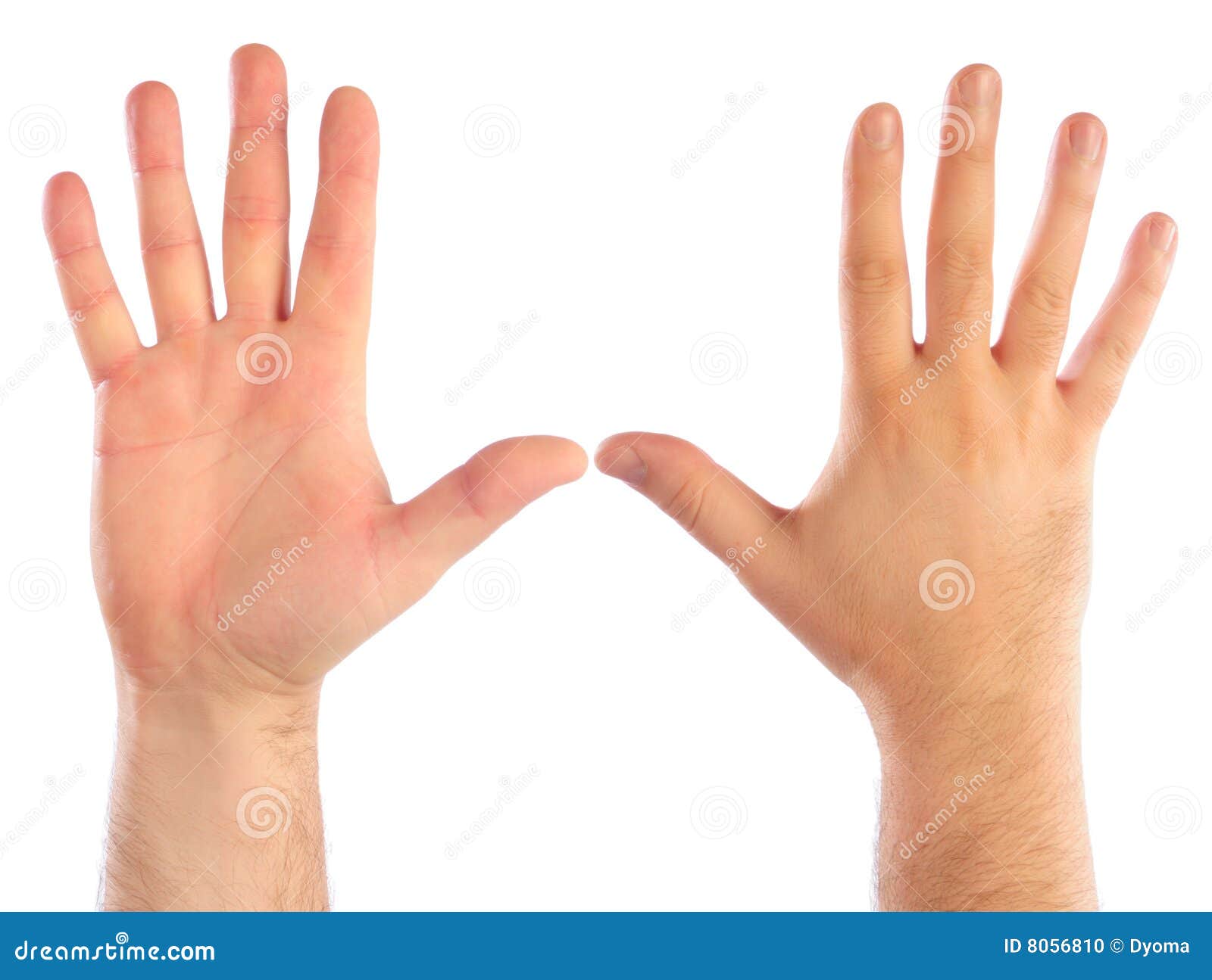 Male Hands Draw A Pencil On The Ruler Stock Image | CartoonDealer.com ...