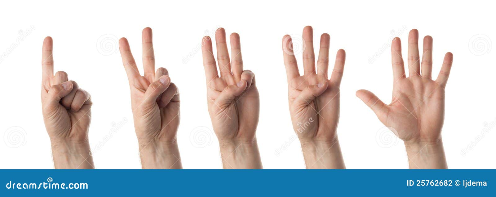 Male Hands Counting Isolated on White Stock Photo - Image of concept ...