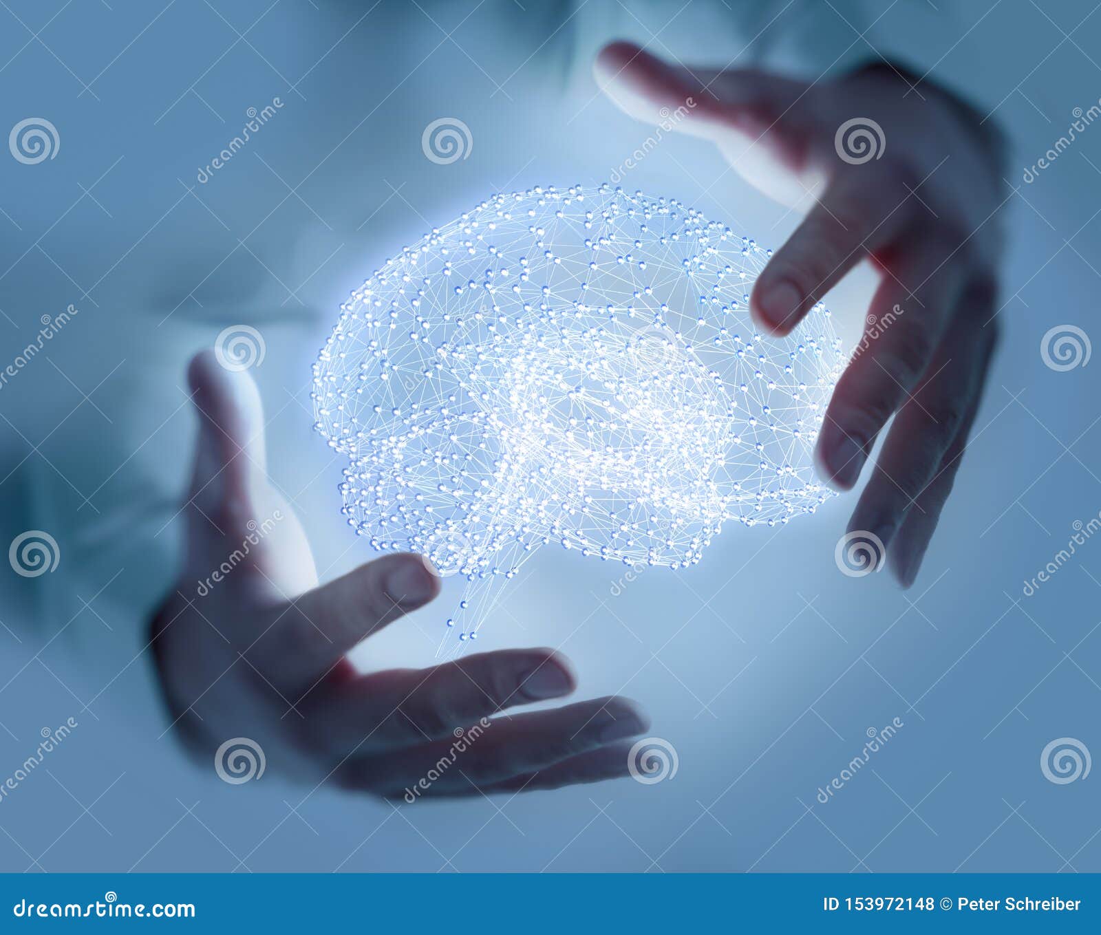 Plexus Structure Formed To a Human Brain Stock Photo - Image of ...