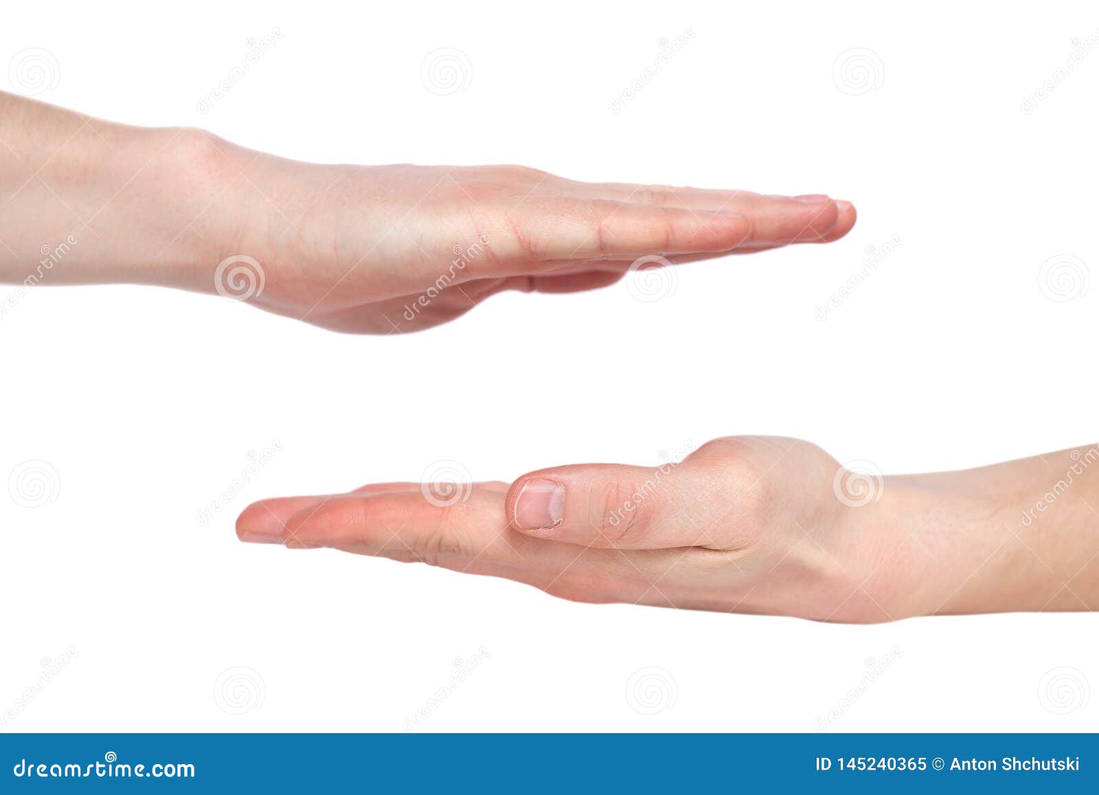 Male Hands Measuring Something, Isolated on White. Hands Showing Size ...