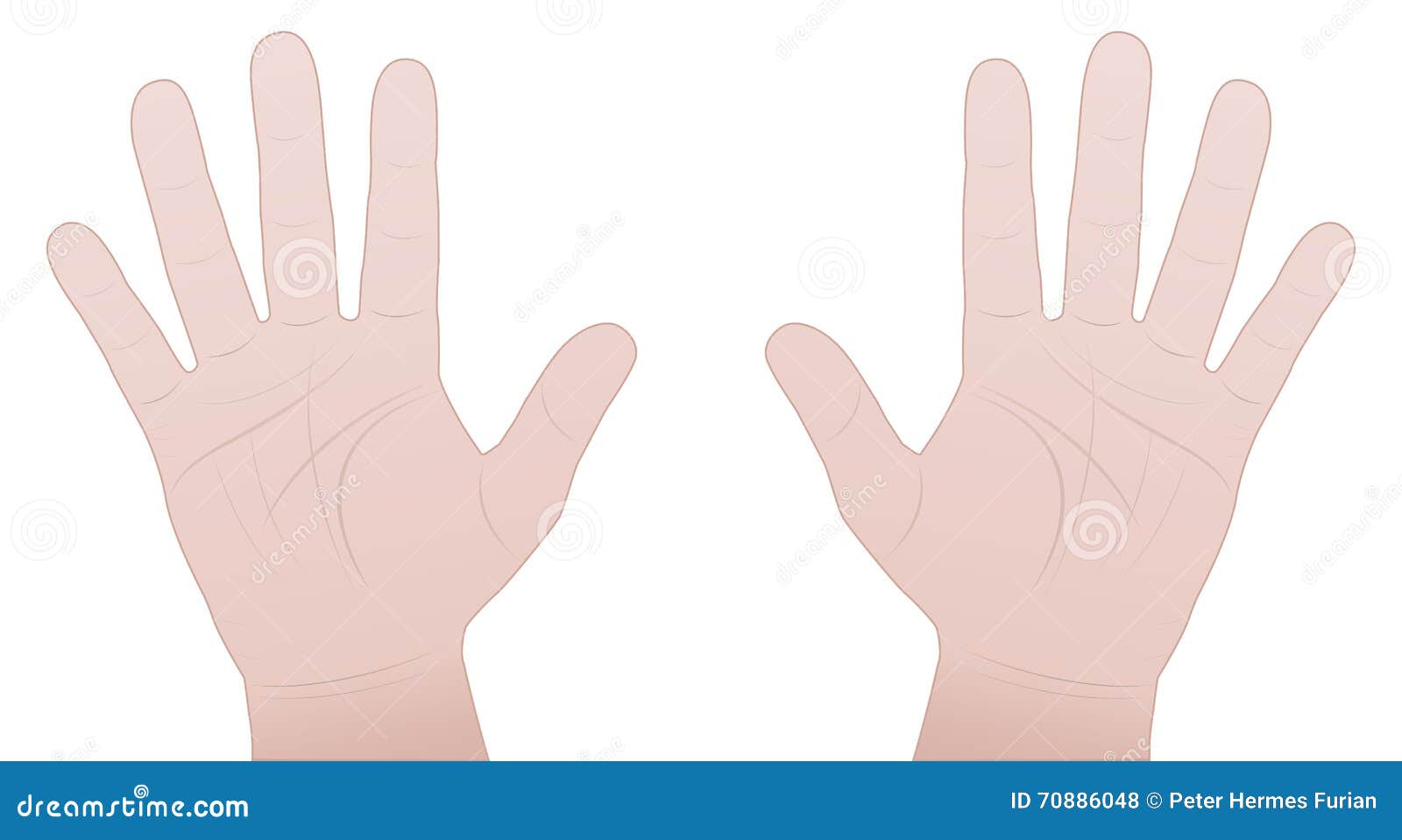 Male Hands Palm Comic Illustration Stock Vector - Illustration of touch ...