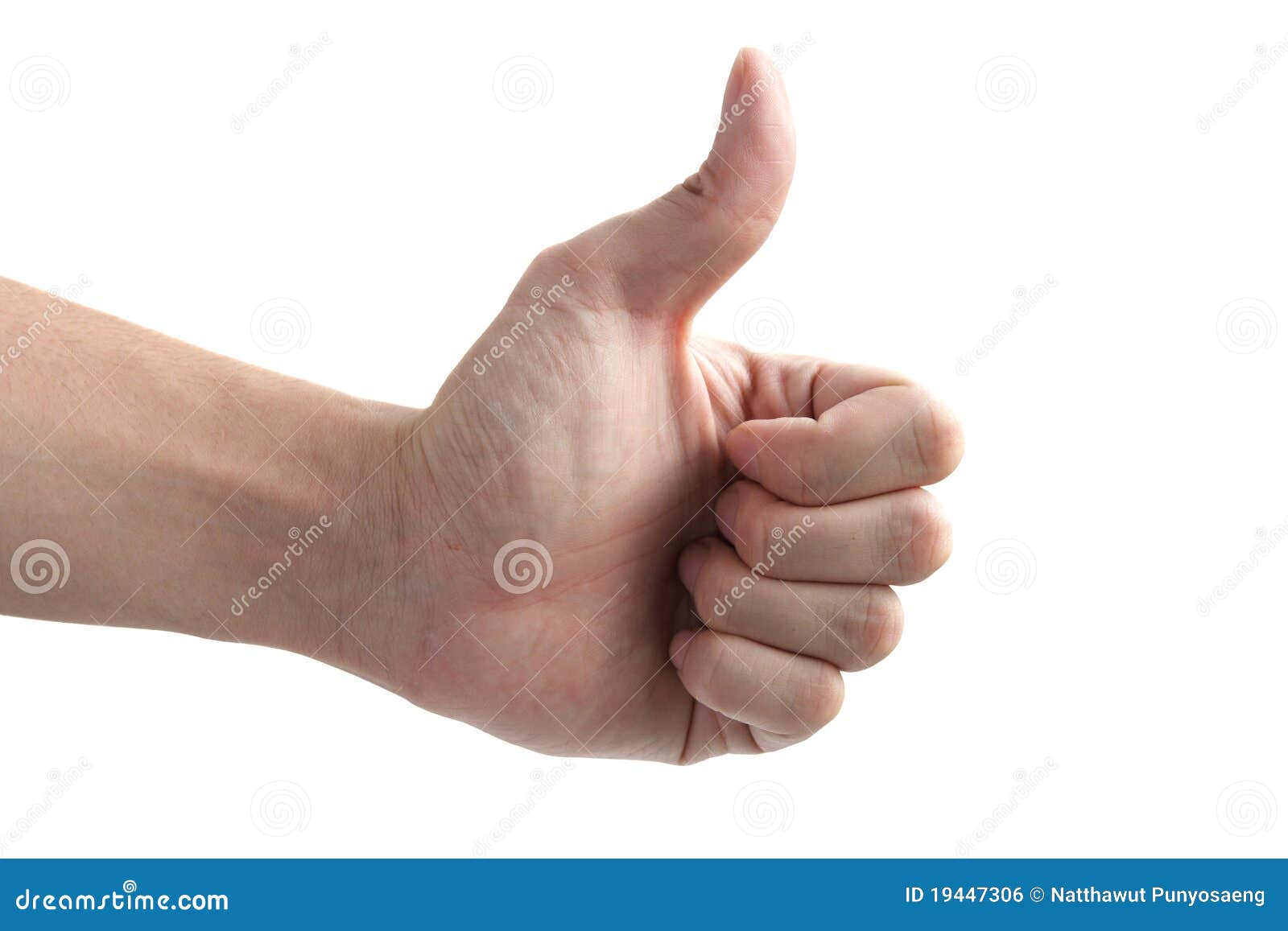 Male hands showing thumbs stock photo. Image of business - 19447306