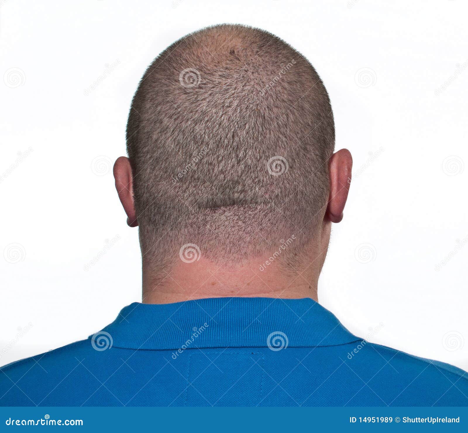 Male Head Close Up from Behind Stock Image - Image of shirt, back: 14951989