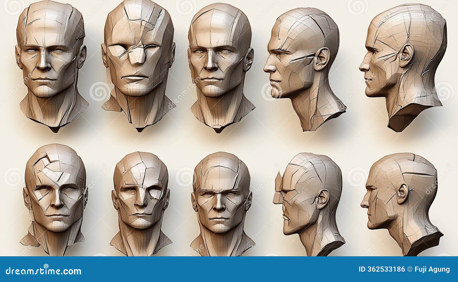 Male Head Sculpts, Anatomy Study, Various Angles, White Background, Art ...