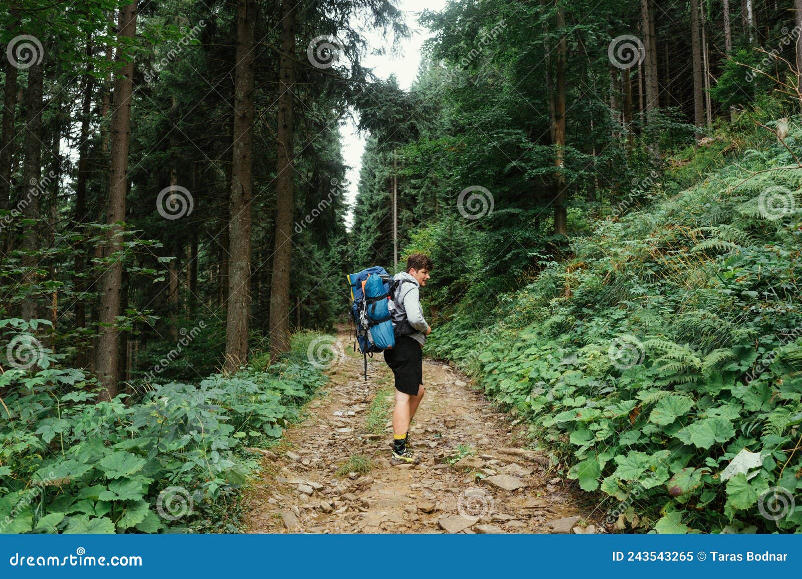 Male Hiker with a Backpack on His Back Walks on a Mountain Trail ...