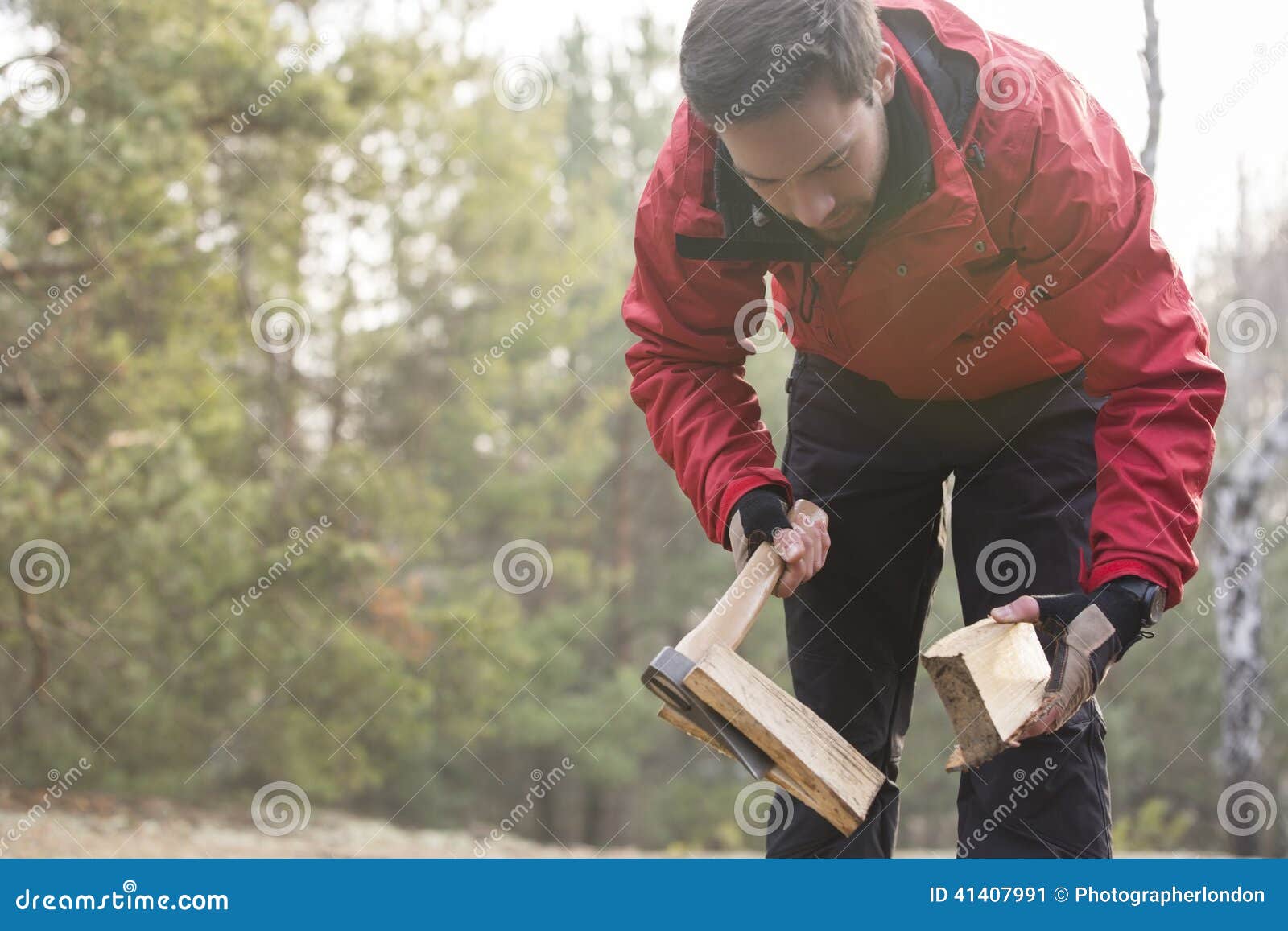 Male Hiker Cutting Firewood in Forest Stock Image - Image of ...