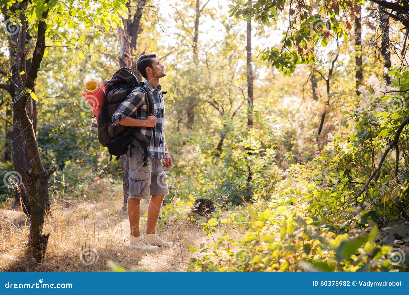 Male Hiker Walking in the Forest Stock Photo - Image of park, natural ...