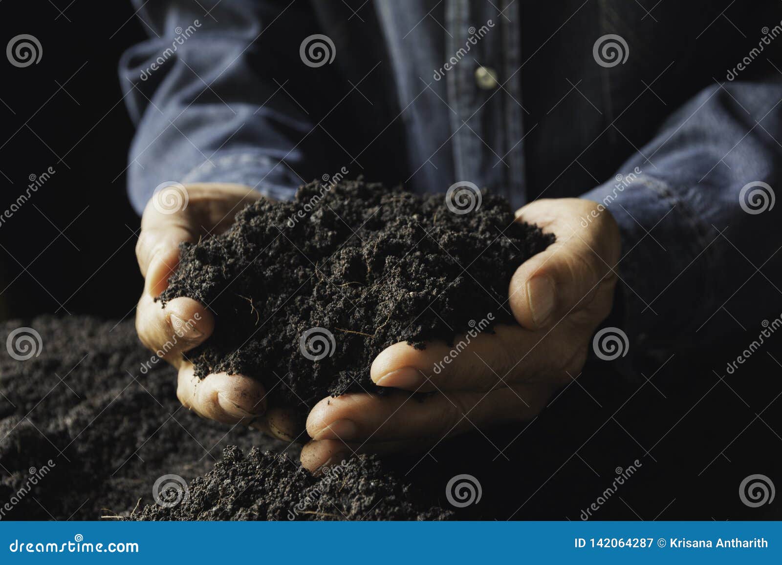 Male Holding Soil in the Hands for Planting Concept Stock Image - Image ...
