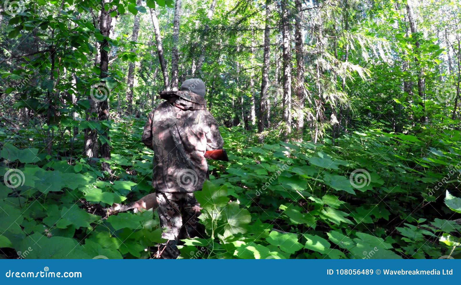 Male Hunter Hunting in the Forest 4k Stock Video - Video of domestic ...
